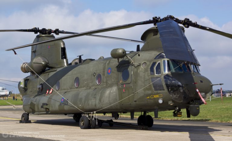 ´The Survivor´- a story of Bravo November