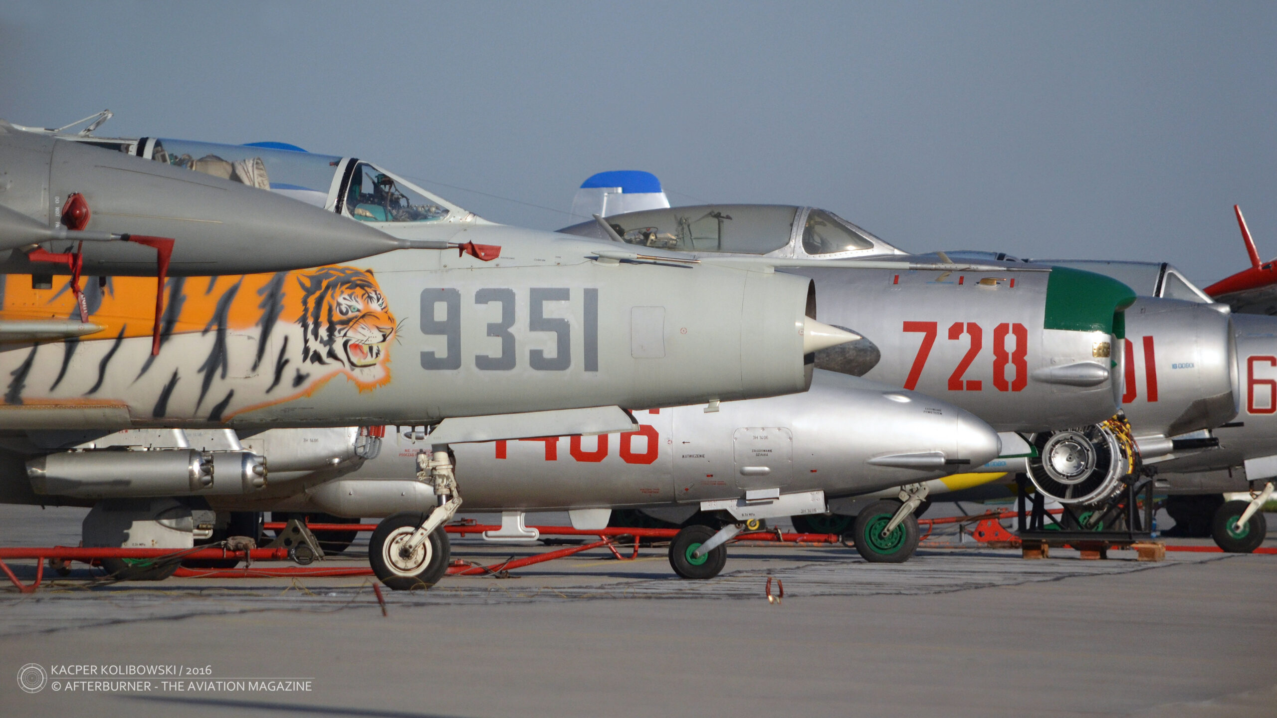An (almost) complete line up of the Polish Air Force jets.