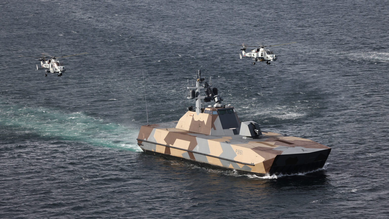 Tamber Shield – new military exercise in the northern Europe