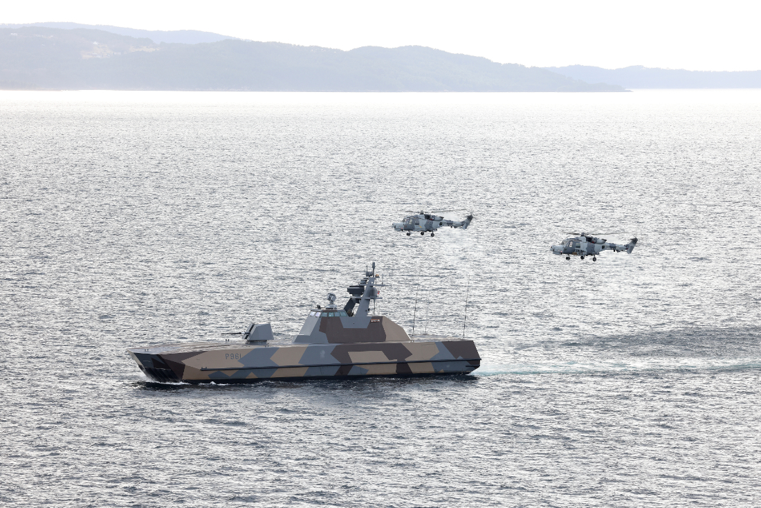 Tamber Shield – new military exercise in the northern Europe