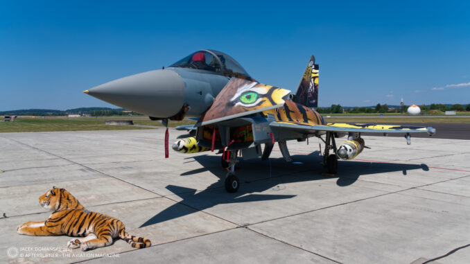 Medieval Mini Tiger Meet 2023 in Neuburg